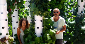 Urban Farming – Tower Farms