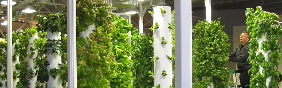 Consultation – Tower Farms