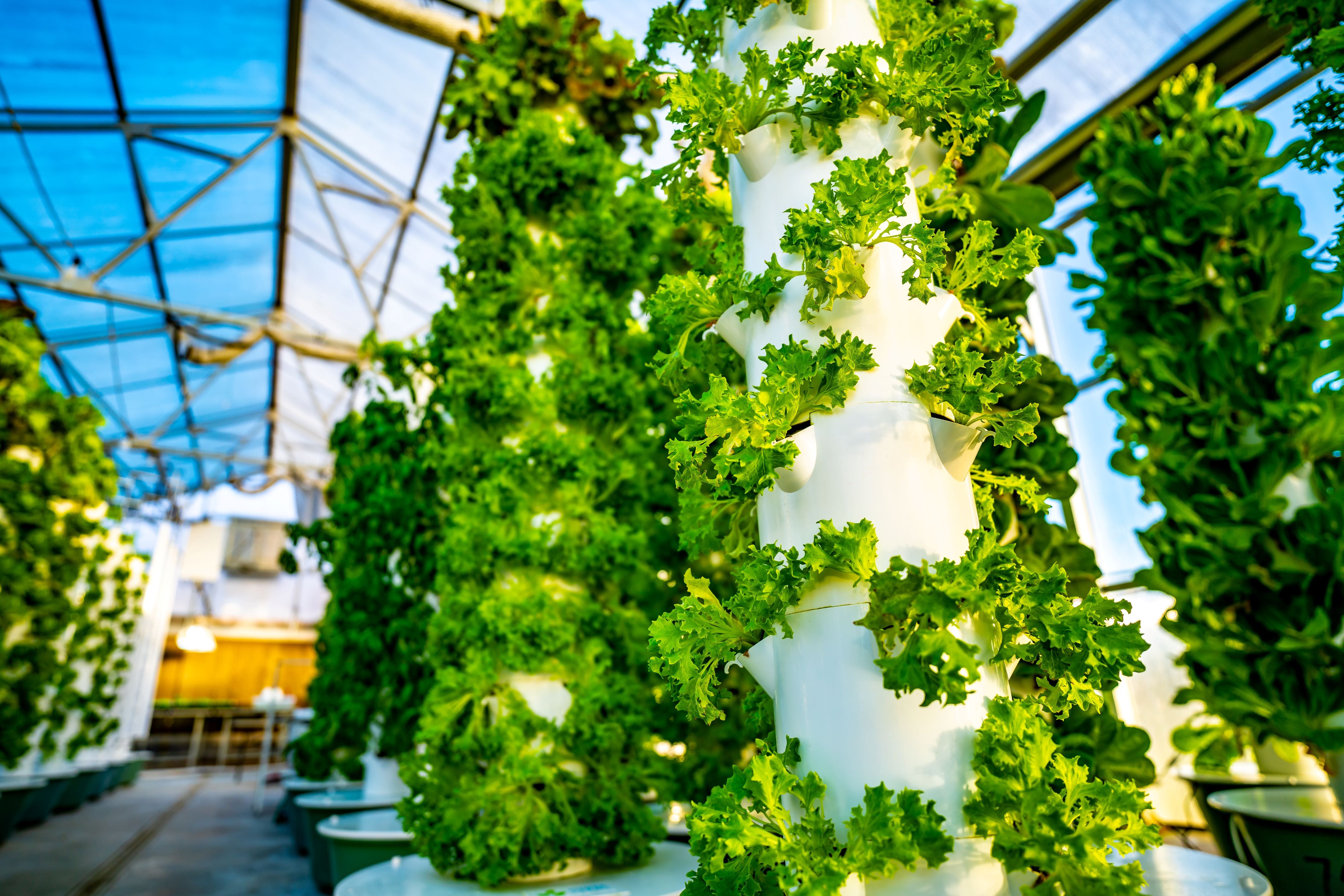 Advantages – Tower Farms